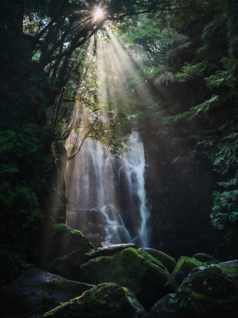 第3回2025ニーゴフォトコンテスト 結果 | ニーゴ・リユース｜オーディオ・楽器・カメラ専門買取店